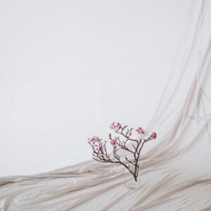 vrsoftcoder - VR SoftCoder